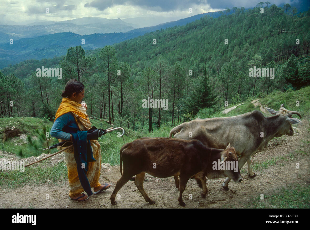 Sitlakhet uttarakhand hi-res stock photography and images - Alamy