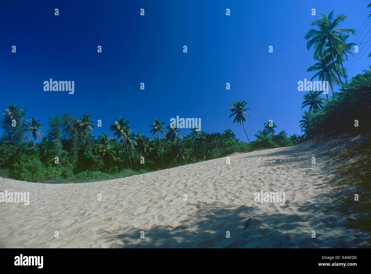vengurla beach, sindhudurg, maharashtra, India, Asia - stp 258945 Stock ...