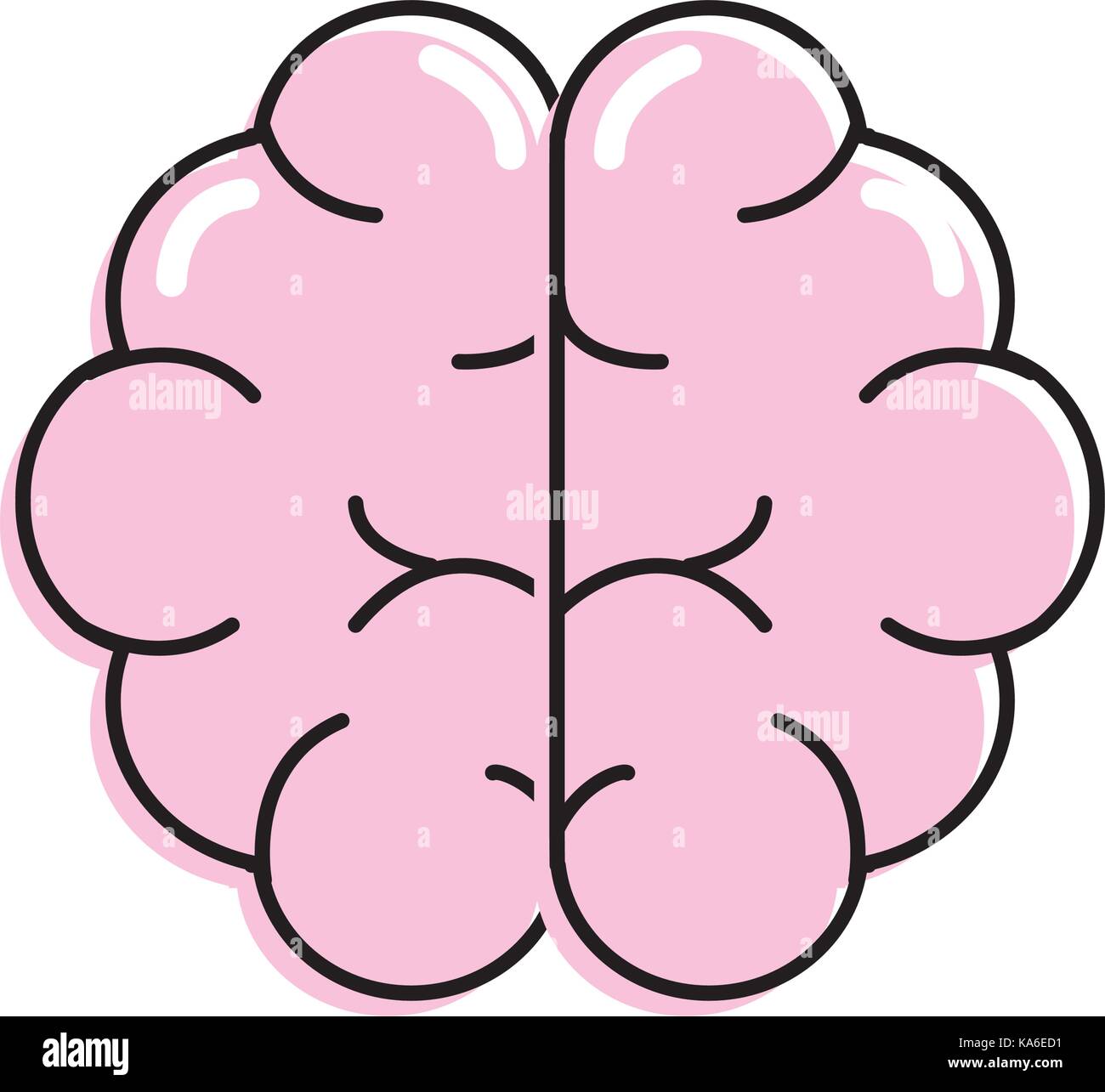 brain human anatomy organ of inteligence Stock Vector Image & Art - Alamy