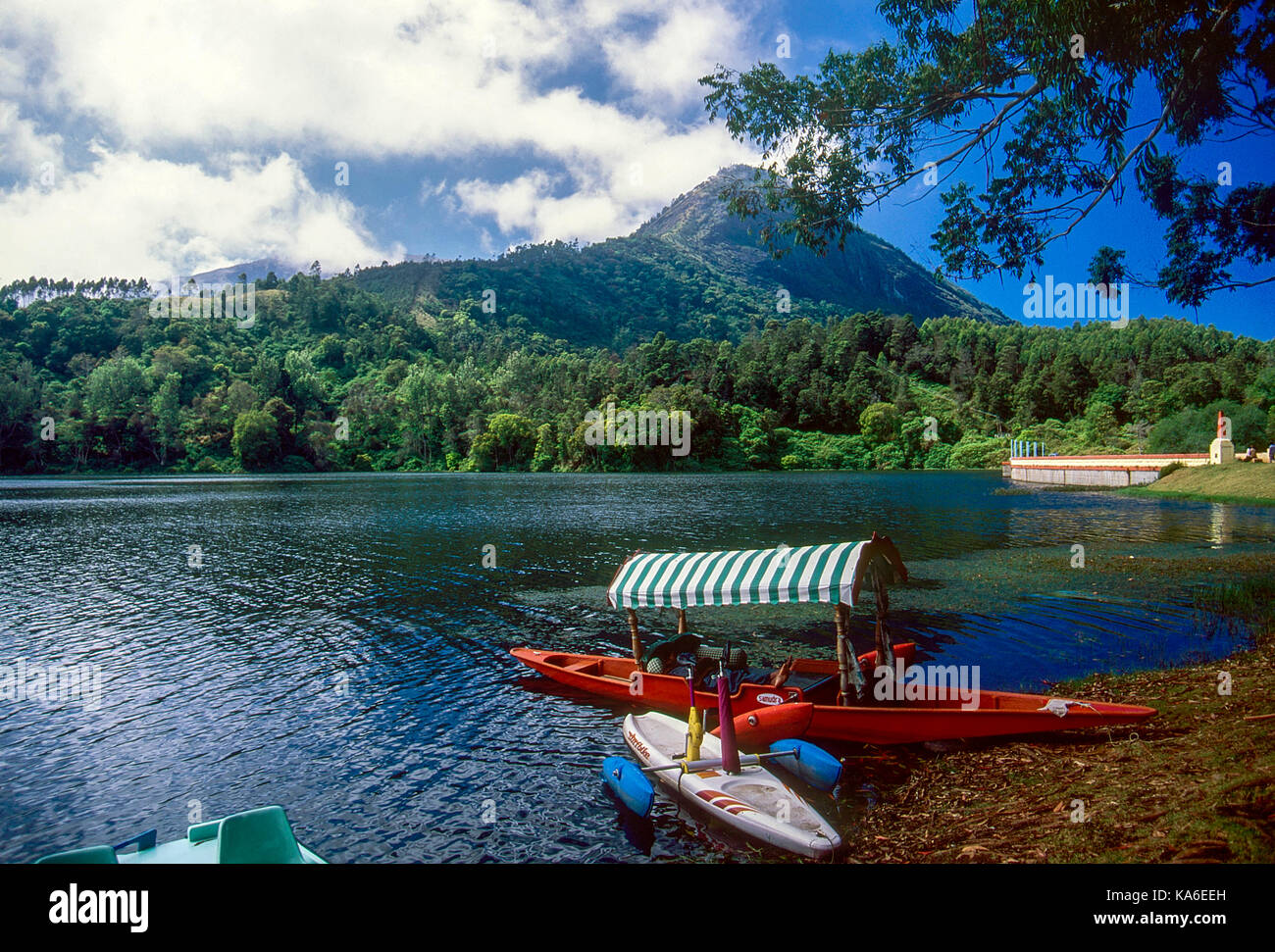 Boat in lake munnar kerala hi-res stock photography and images - Alamy