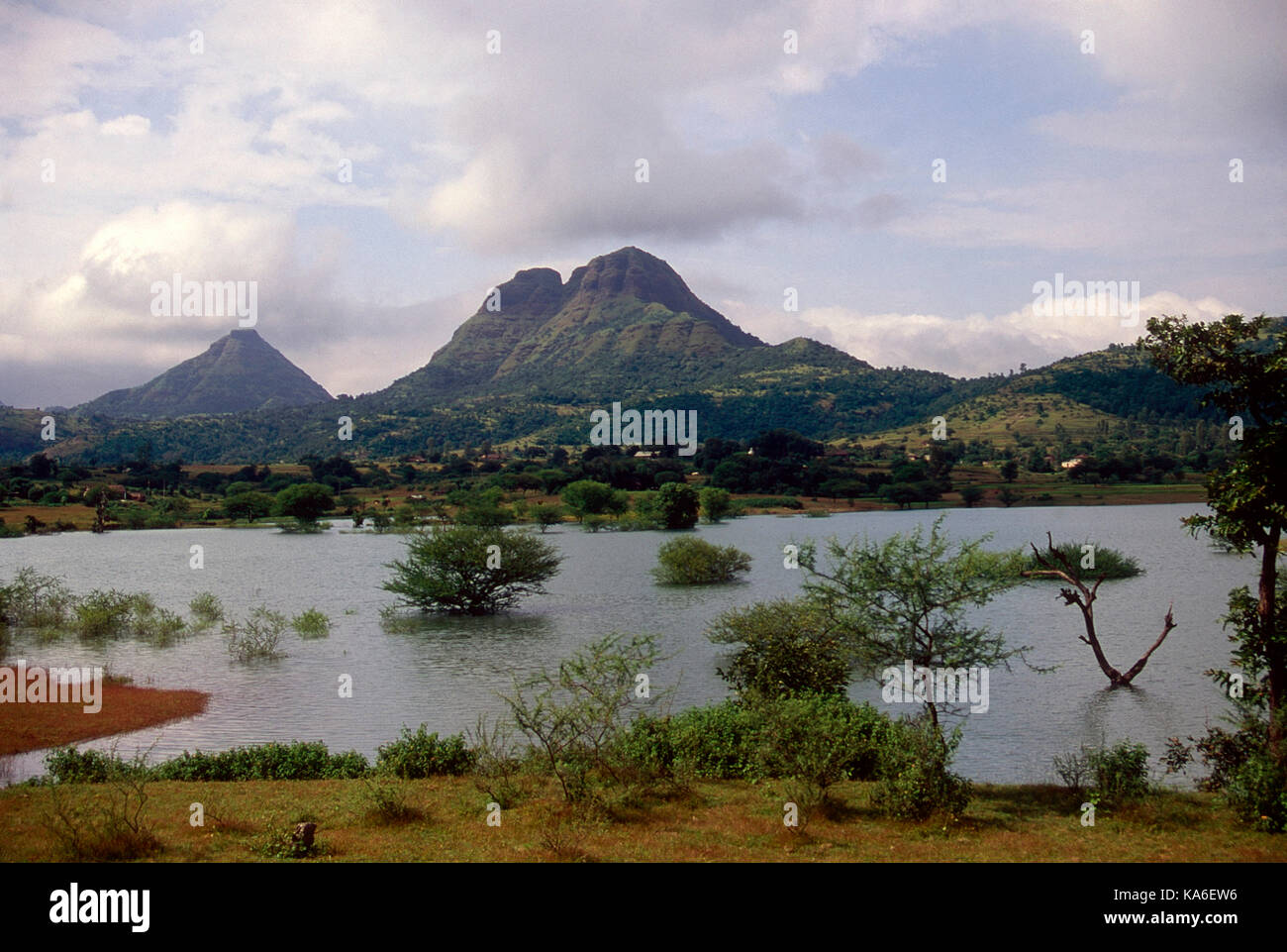 pimpalgaon joga dam malshej ghat pune, maharashtra, India, Asia Stock ...