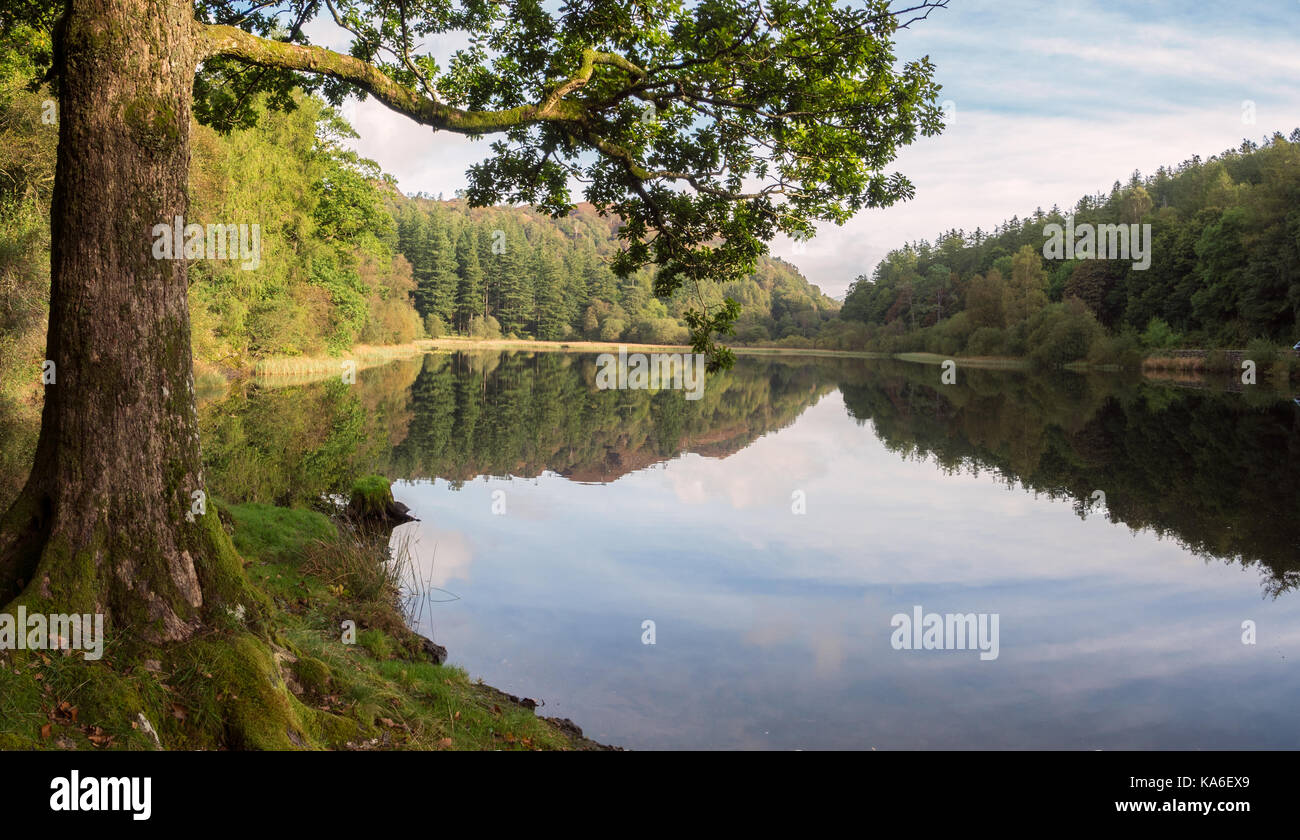 Yew tree tarn hi-res stock photography and images - Alamy