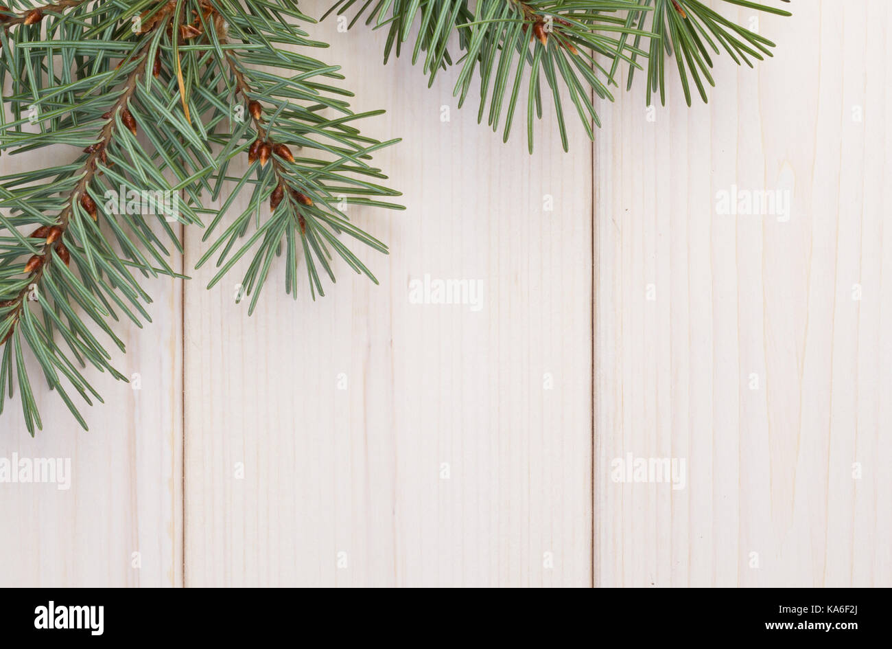 Christmas tree branches border over white wooden Stock Photo - Alamy