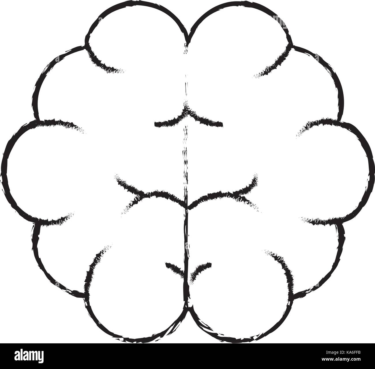 figure brain human anatomy organ of inteligence Stock Vector Image ...