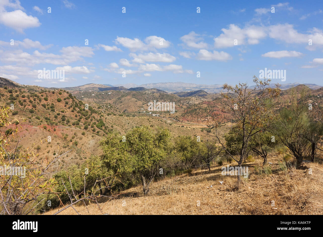 Mountain dry landscape in Andalucia, with almond trees, Southern Spain ...