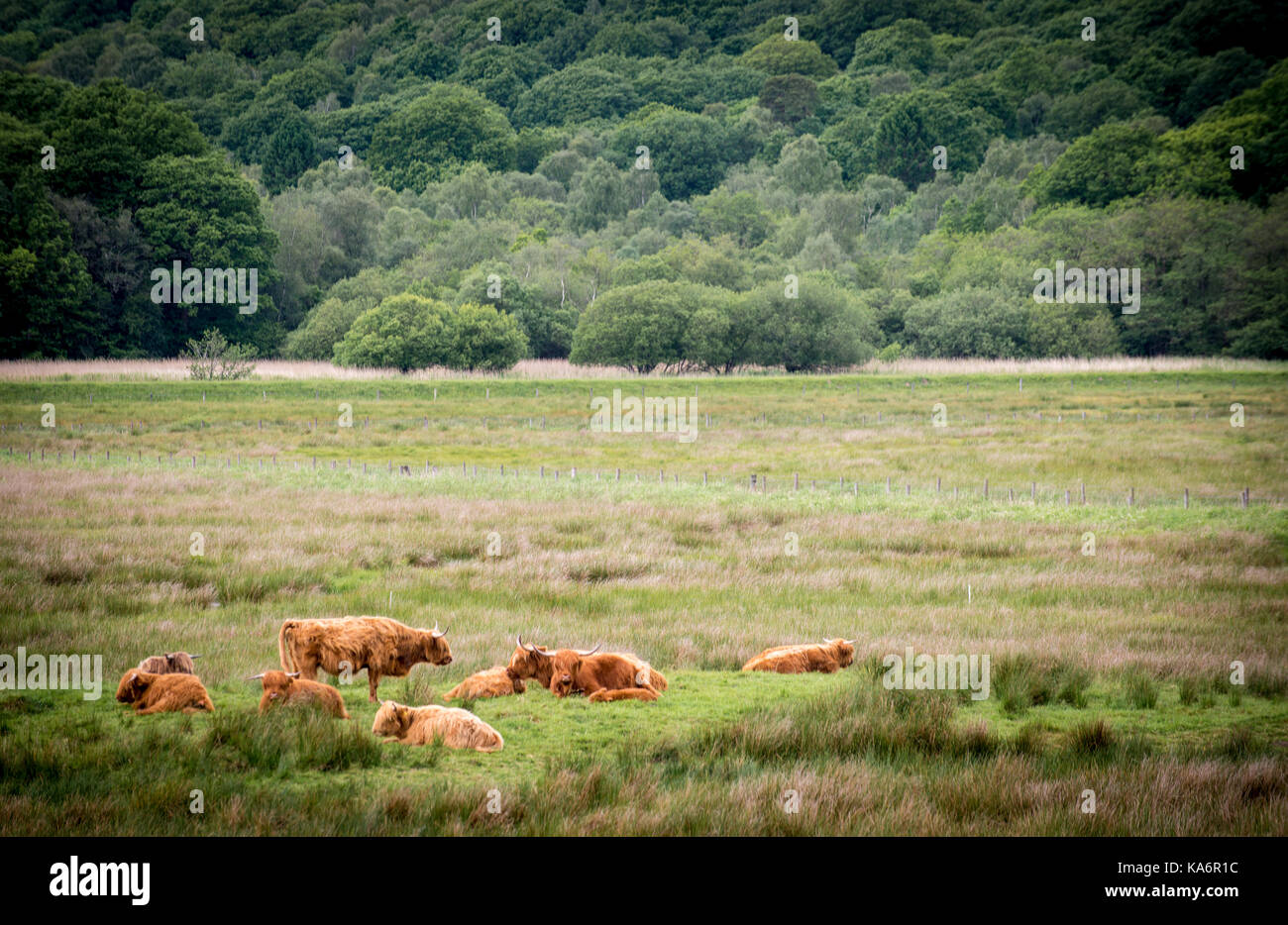 Rusland valley hi-res stock photography and images - Alamy