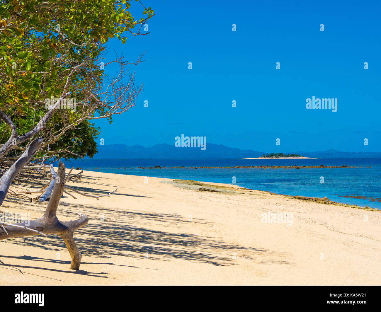Romantic sunset desert island palm trees hi-res stock photography and ...