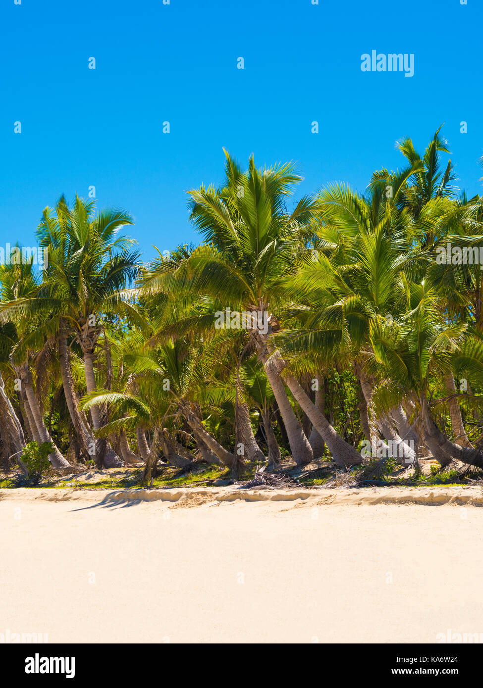 Beautiful Bounty Island . Fiji Stock Photo - Alamy