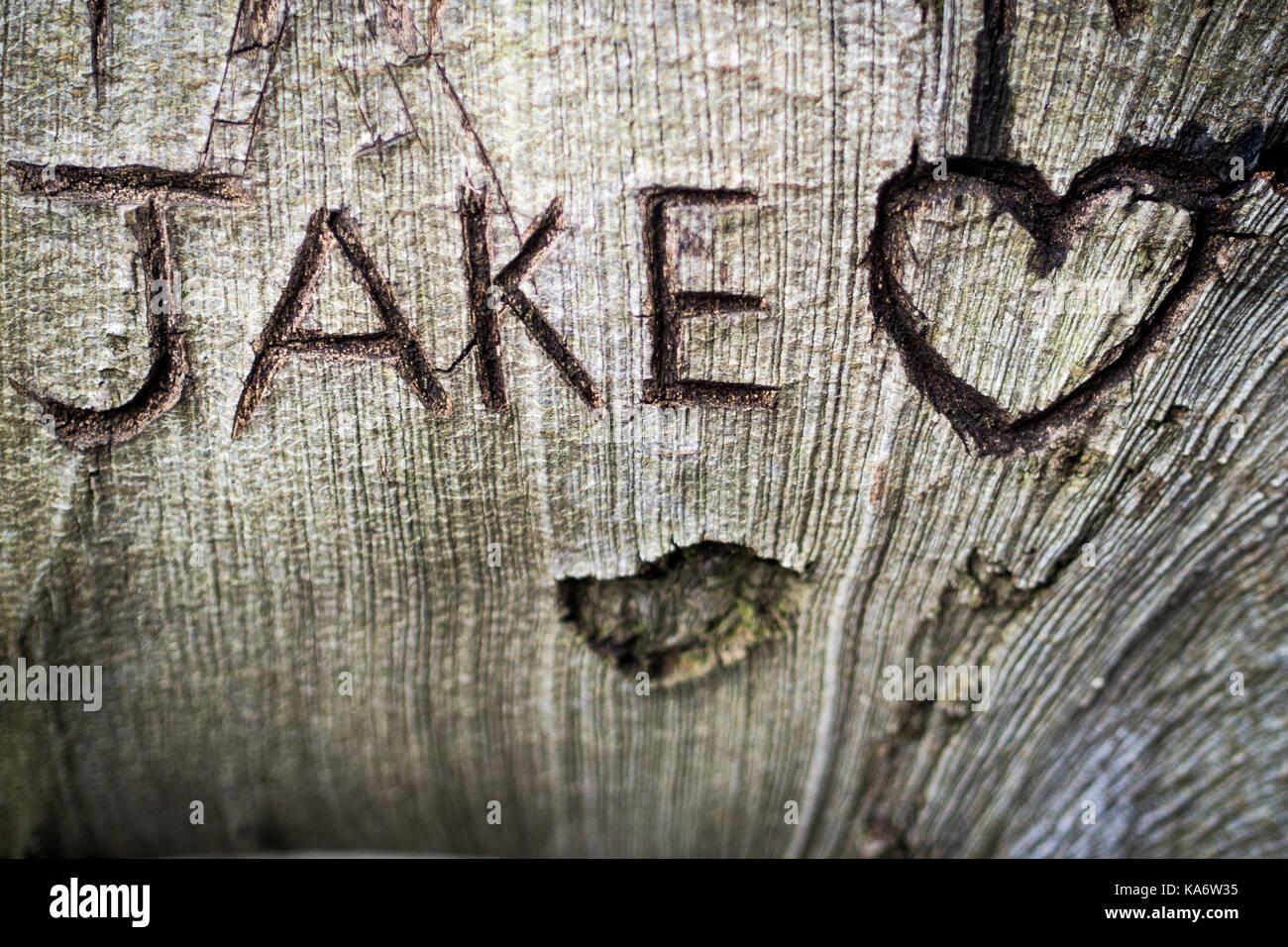 Adelaide love hi-res stock photography and images - Alamy