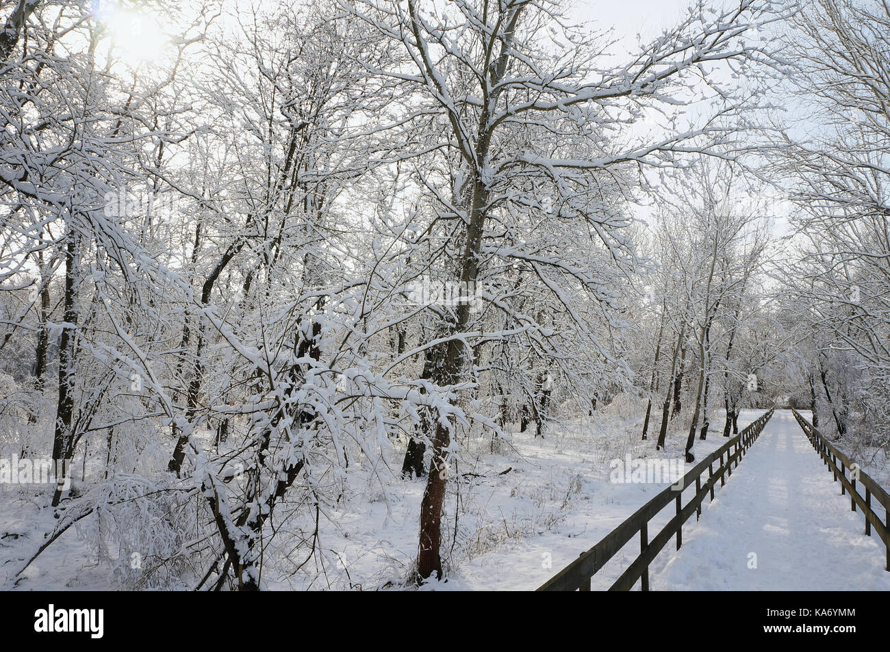 Frozen bridge hi-res stock photography and images - Alamy