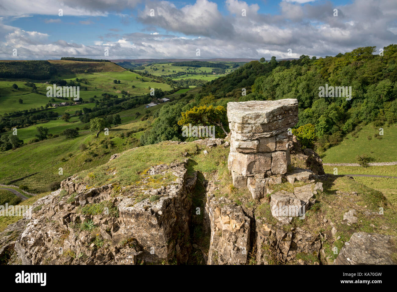 Limestone outcrop at Whitcliff Scar near Richmond, Swaledale, Yorkshire ...