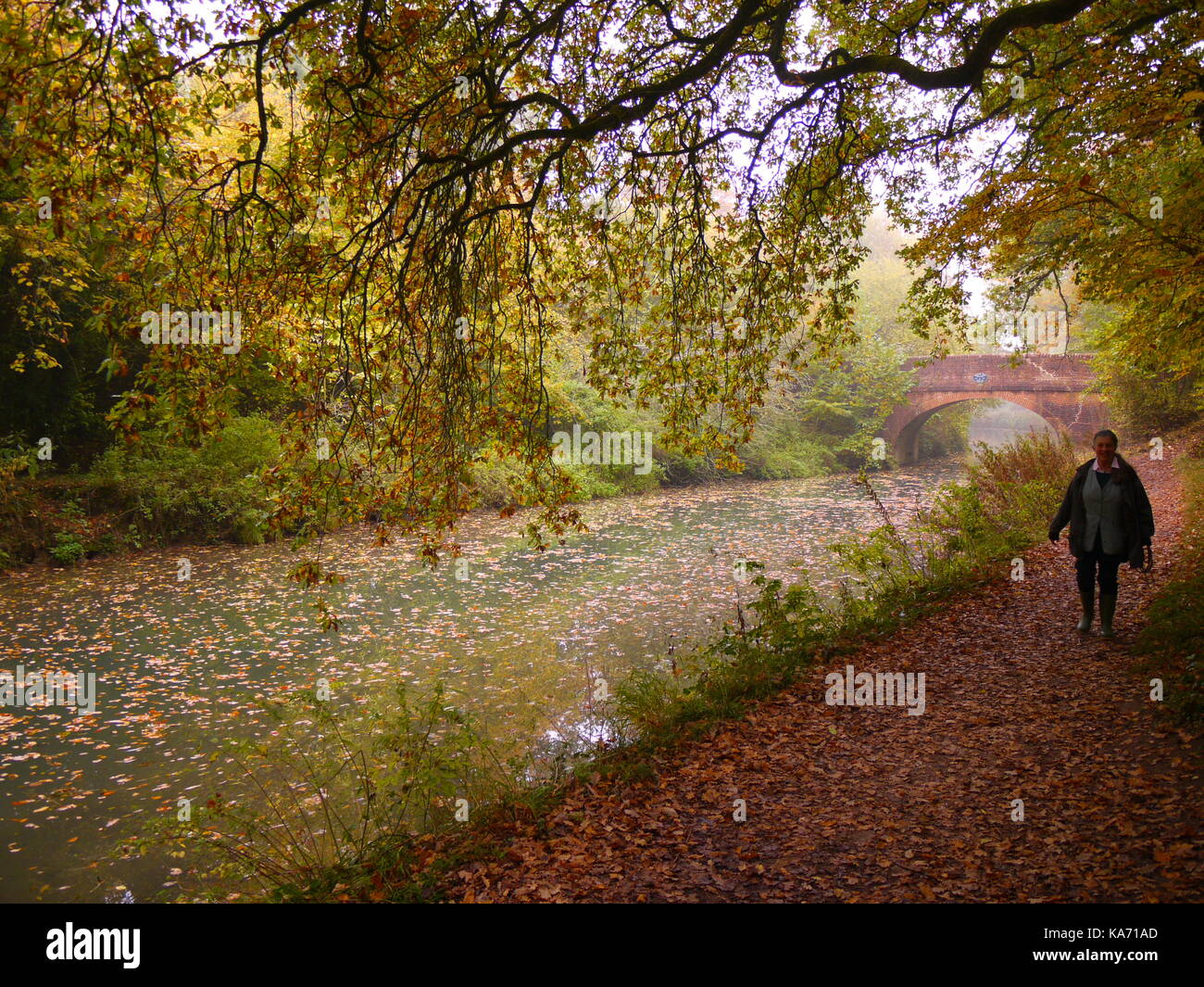 The Basingstoke Canal Stock Photo - Alamy