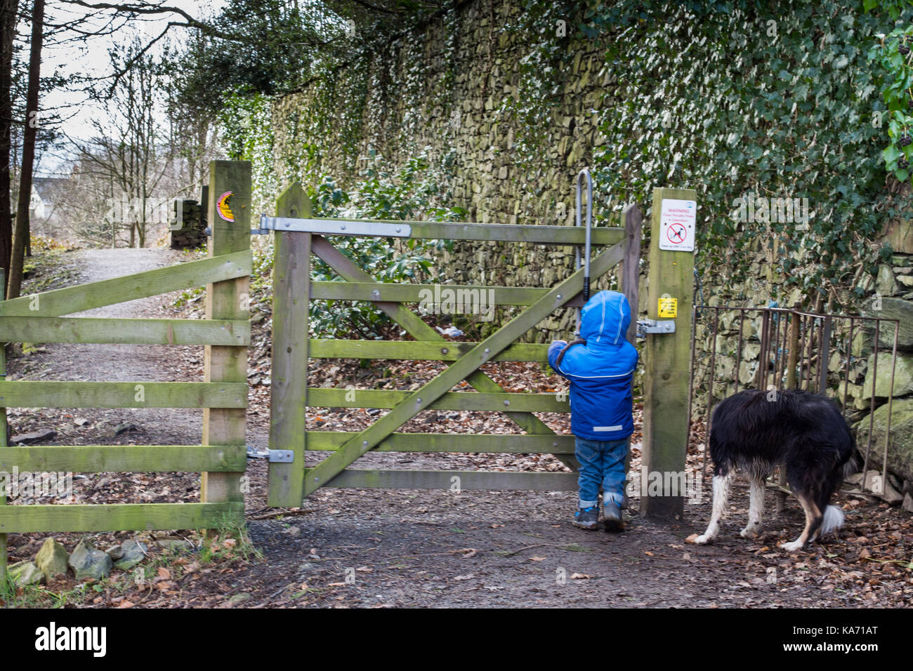 Little boy walking his dog Stock Photo - Alamy Little boy walking his dog Stock Photo - Alamy