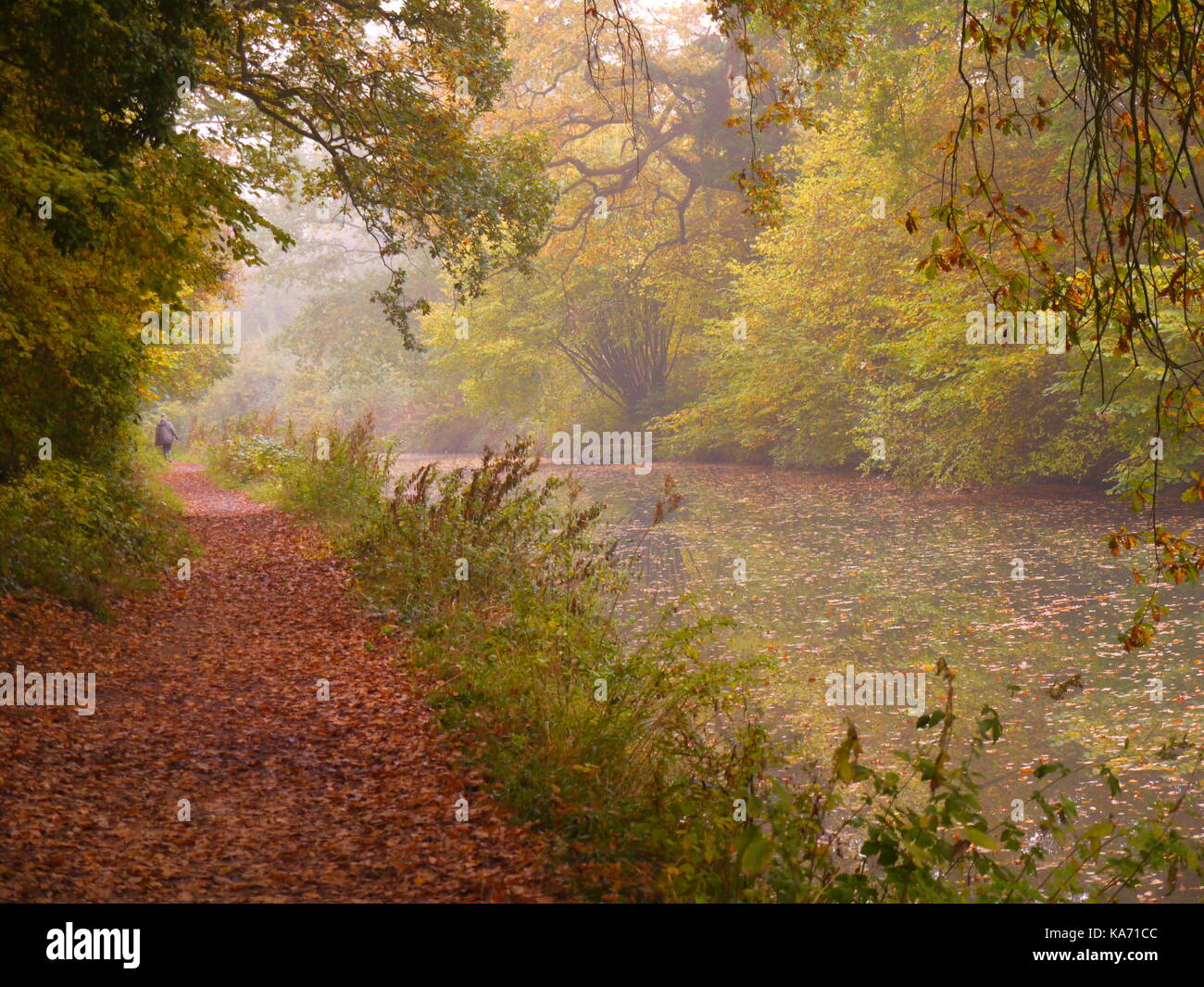 Basingstoke canal hi-res stock photography and images - Alamy