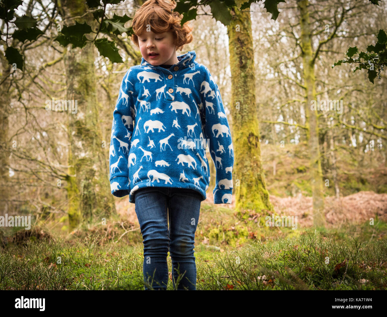 Walking in the woods Stock Photo - Alamy