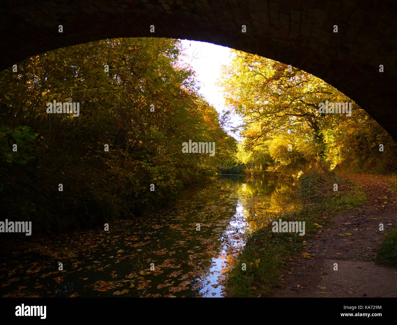 Basingstoke canal hi-res stock photography and images - Alamy