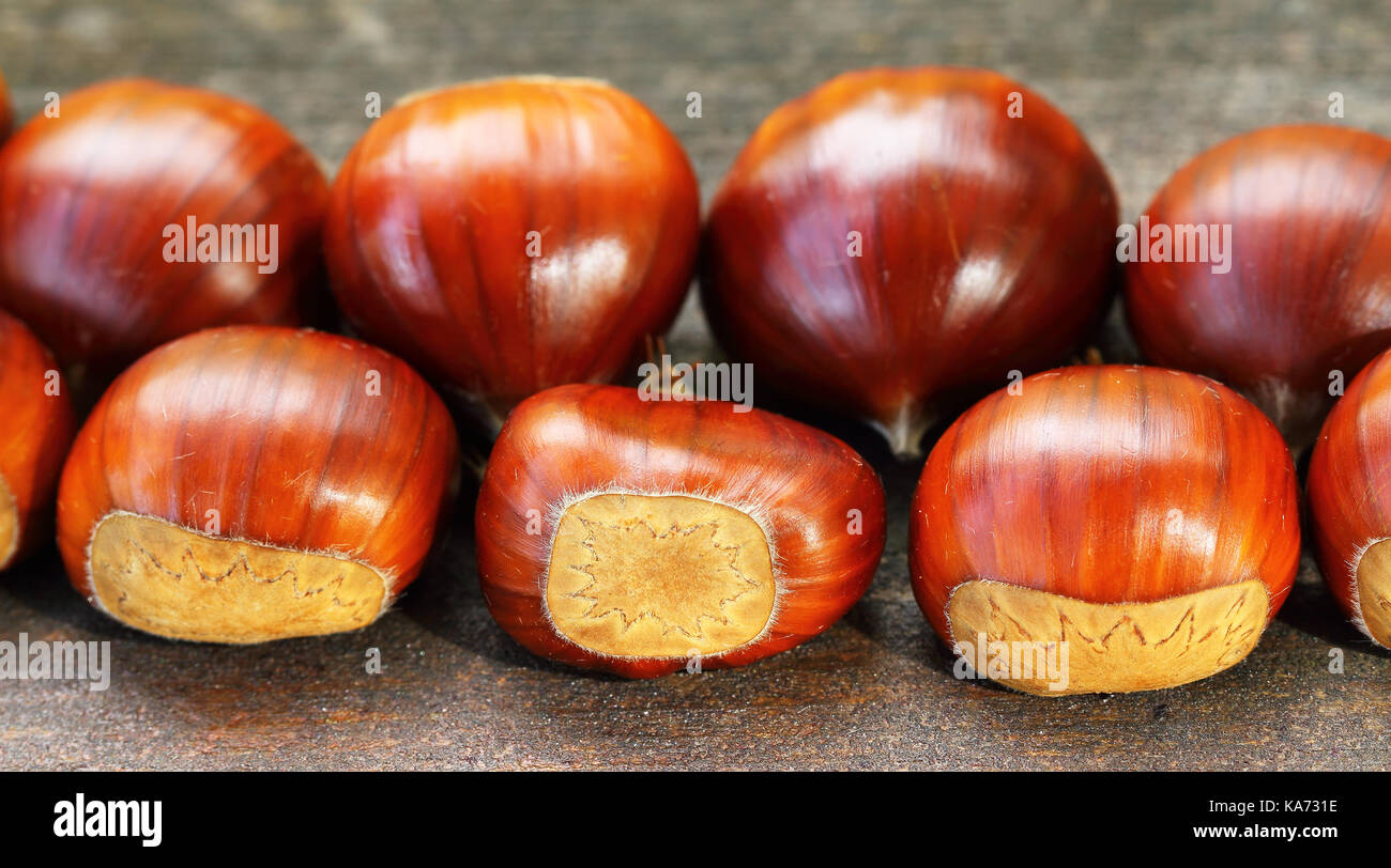 Chestnut (Castanea sativa) fruits Stock Photo - Alamy