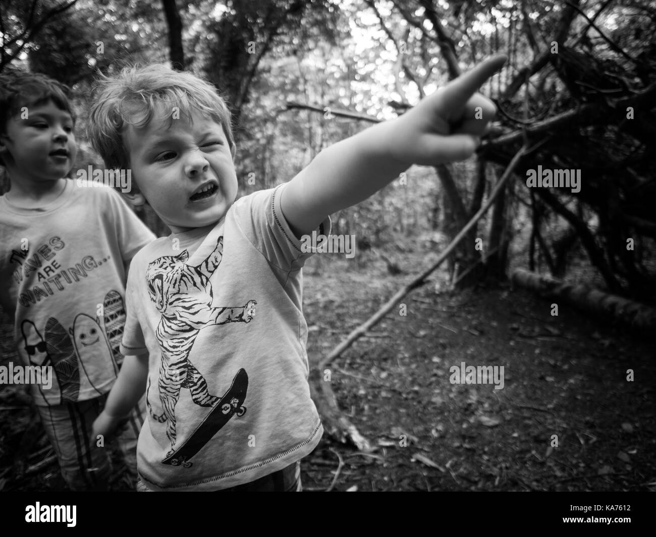 Children playing in the woods hi-res stock photography and images - Alamy