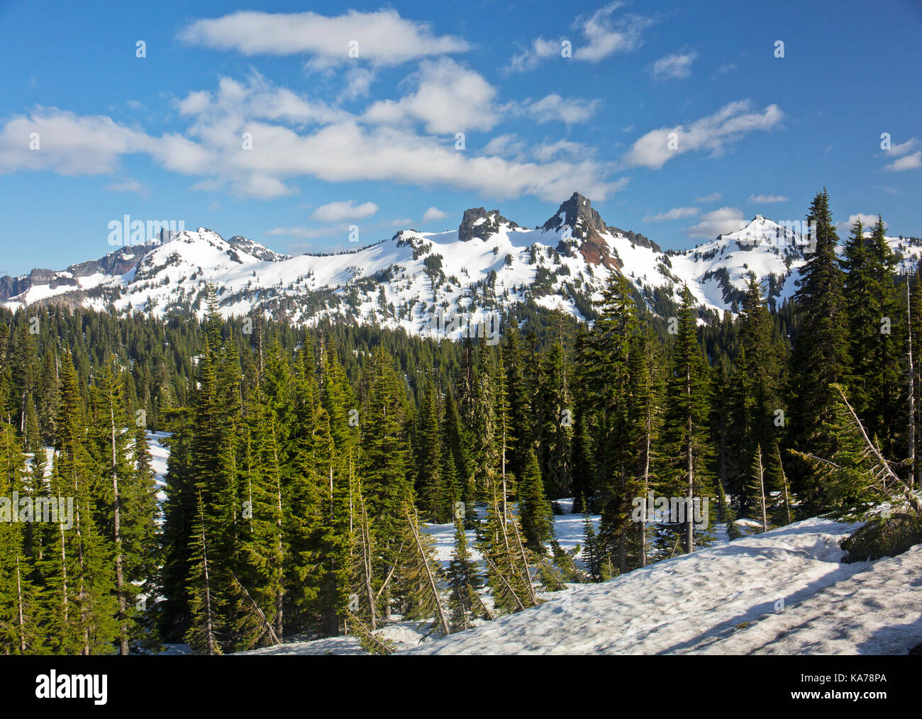 The Tatoosh Mountain Range, Mount Rainier National Park, USA Stock ...