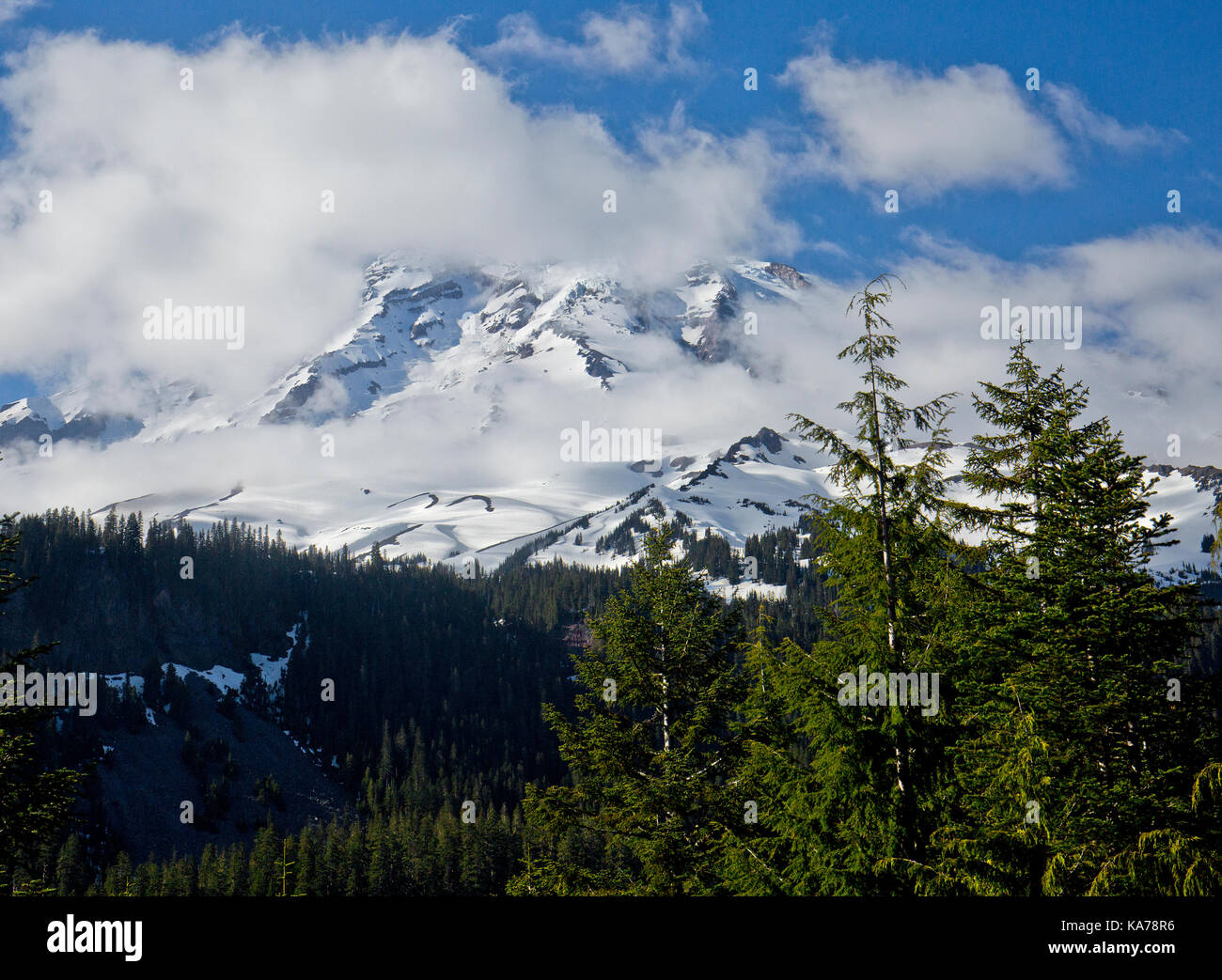 Mount Rainier in Mount Rainier National Park, Washington State, USA ...
