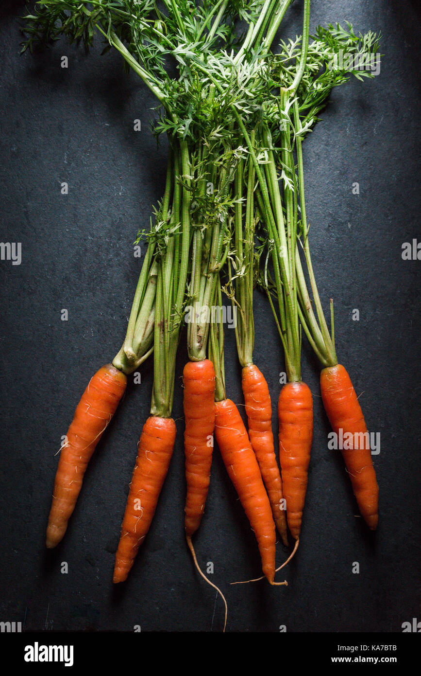 Fresh carrots with tops on a gray stone vertical Stock Photo - Alamy