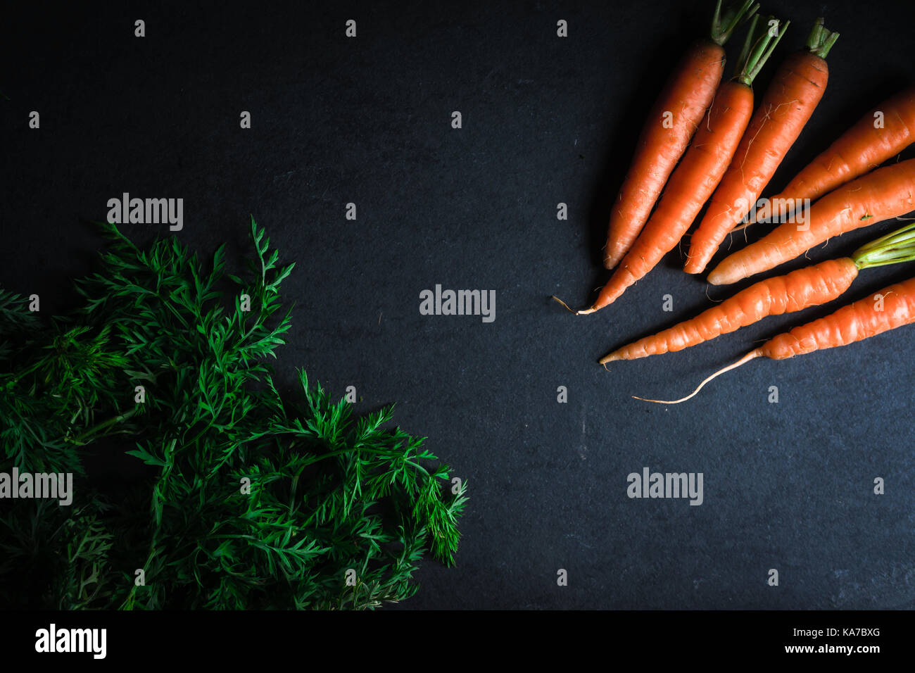 Carrots and tops on a blue background diagonal horizontal Stock Photo ...