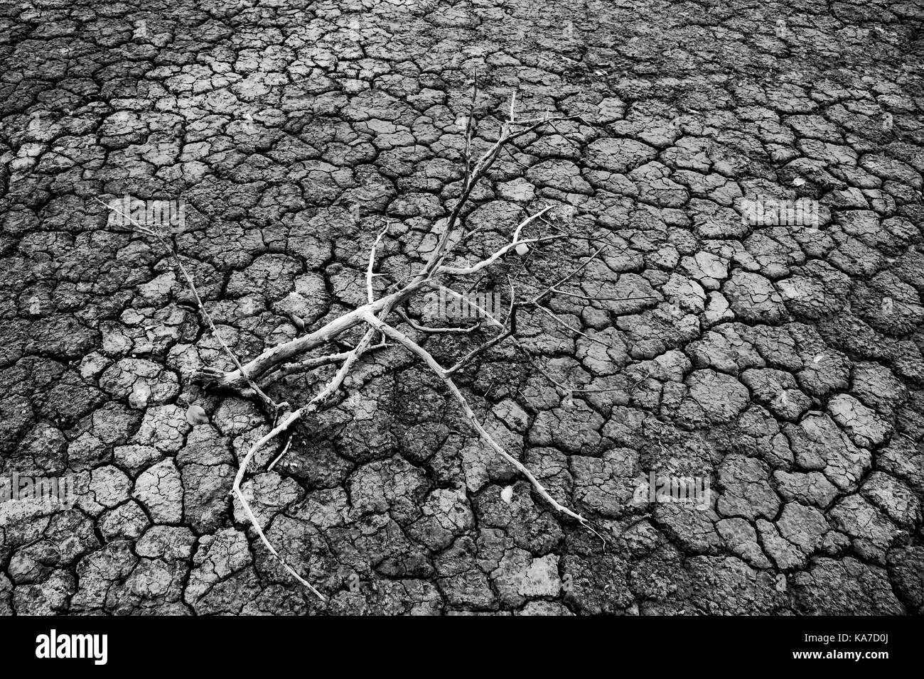 Background barren ground Stock Photo - Alamy