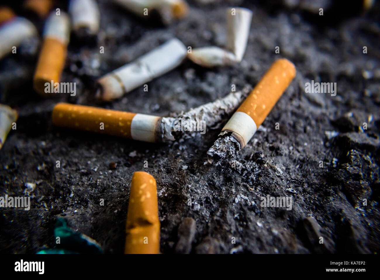 Smoking pot the use of disposable cigarette Stock Photo - Alamy