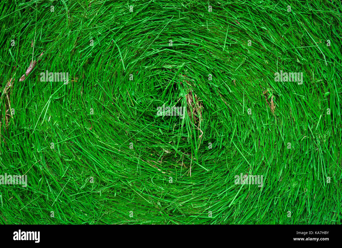 Straw green background Was painted green Stock Photo - Alamy