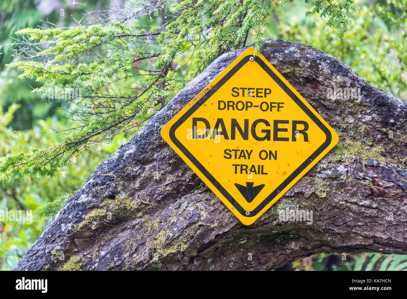 Stay on Trail Danger sign posted in forest, Wild Pacific Trail ...
