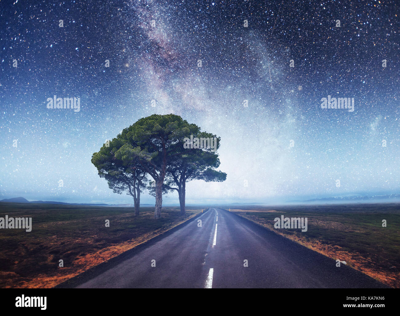 Asphalt road and lonely tree under a starry night sky and the Milky Way ...