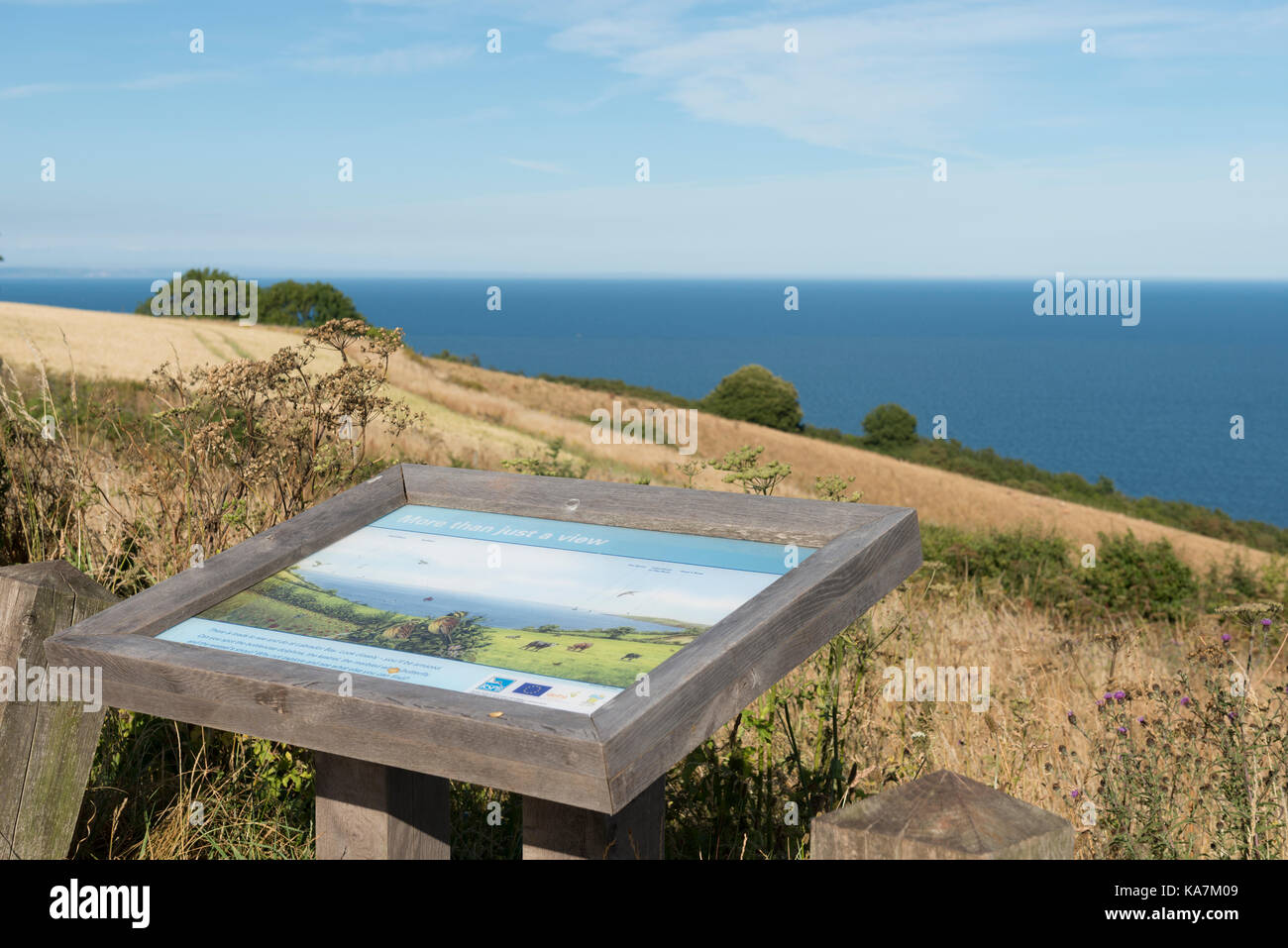 Labrador Bay - Maidencombe - Torquay, Devon - UK Stock Photo - Alamy