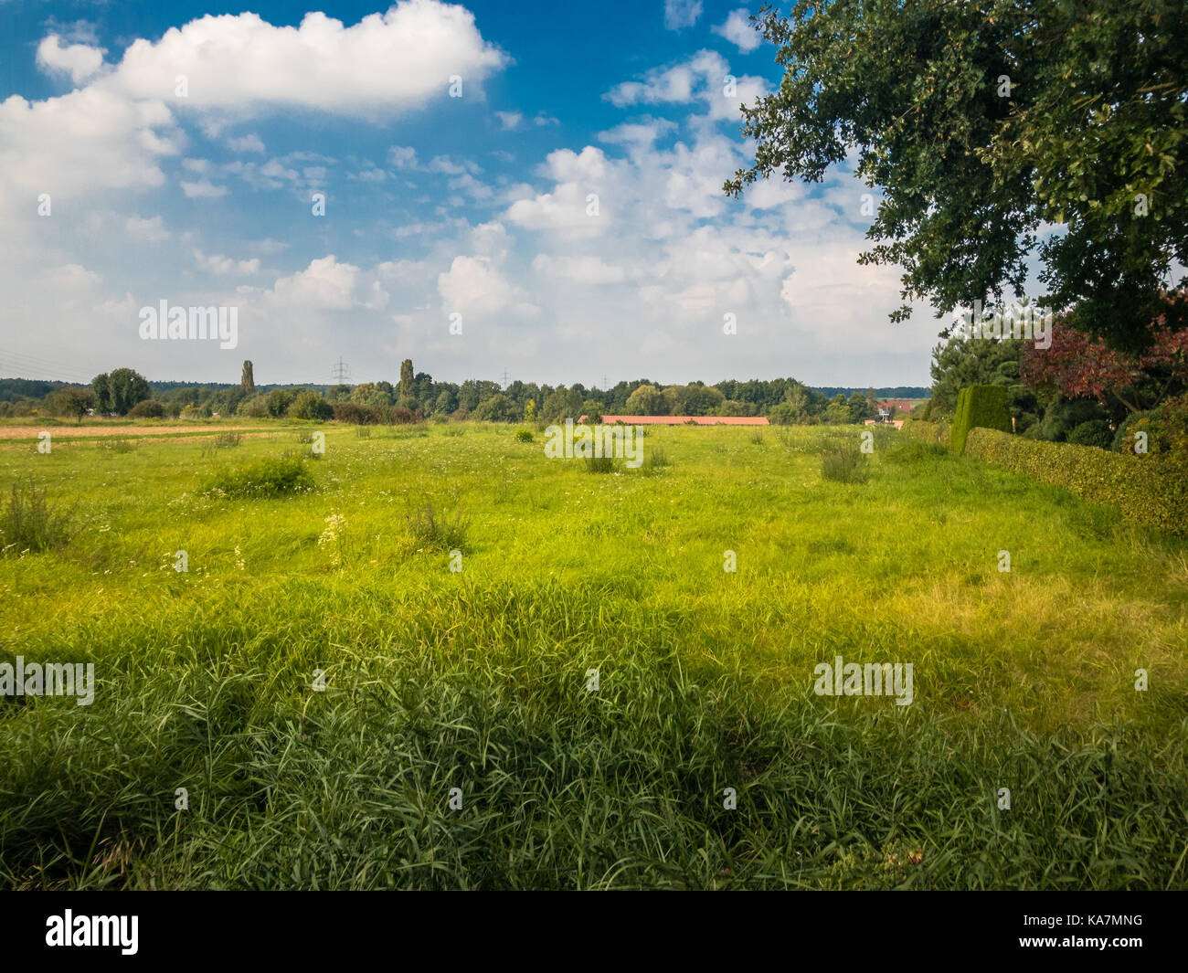 German meadow hi-res stock photography and images - Alamy