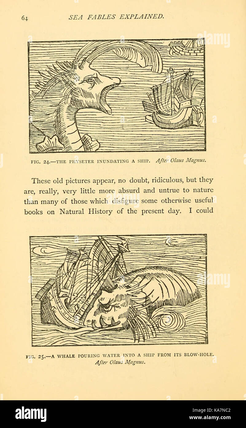 Sea fables explained hi-res stock photography and images - Alamy