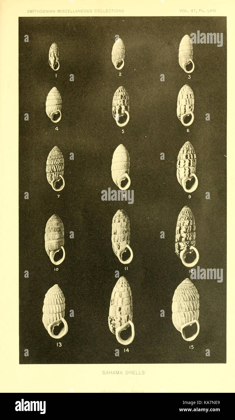 Smithsonian miscellaneous collections (14437056698 Stock Photo - Alamy