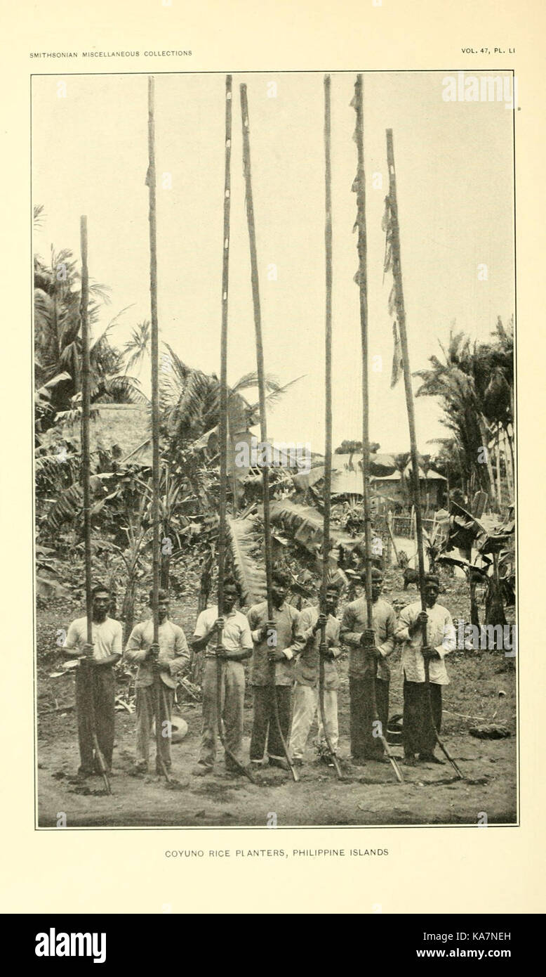 Smithsonian miscellaneous collections (14620448051 Stock Photo - Alamy