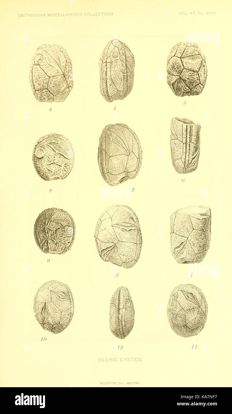 Smithsonian miscellaneous collections (14623134822 Stock Photo - Alamy