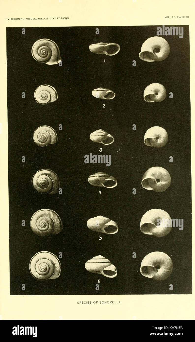 Smithsonian miscellaneous collections (14600630316 Stock Photo - Alamy