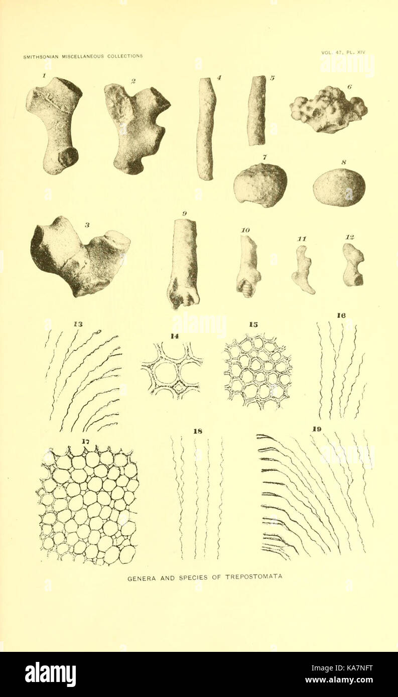 Smithsonian collections hi-res stock photography and images - Alamy