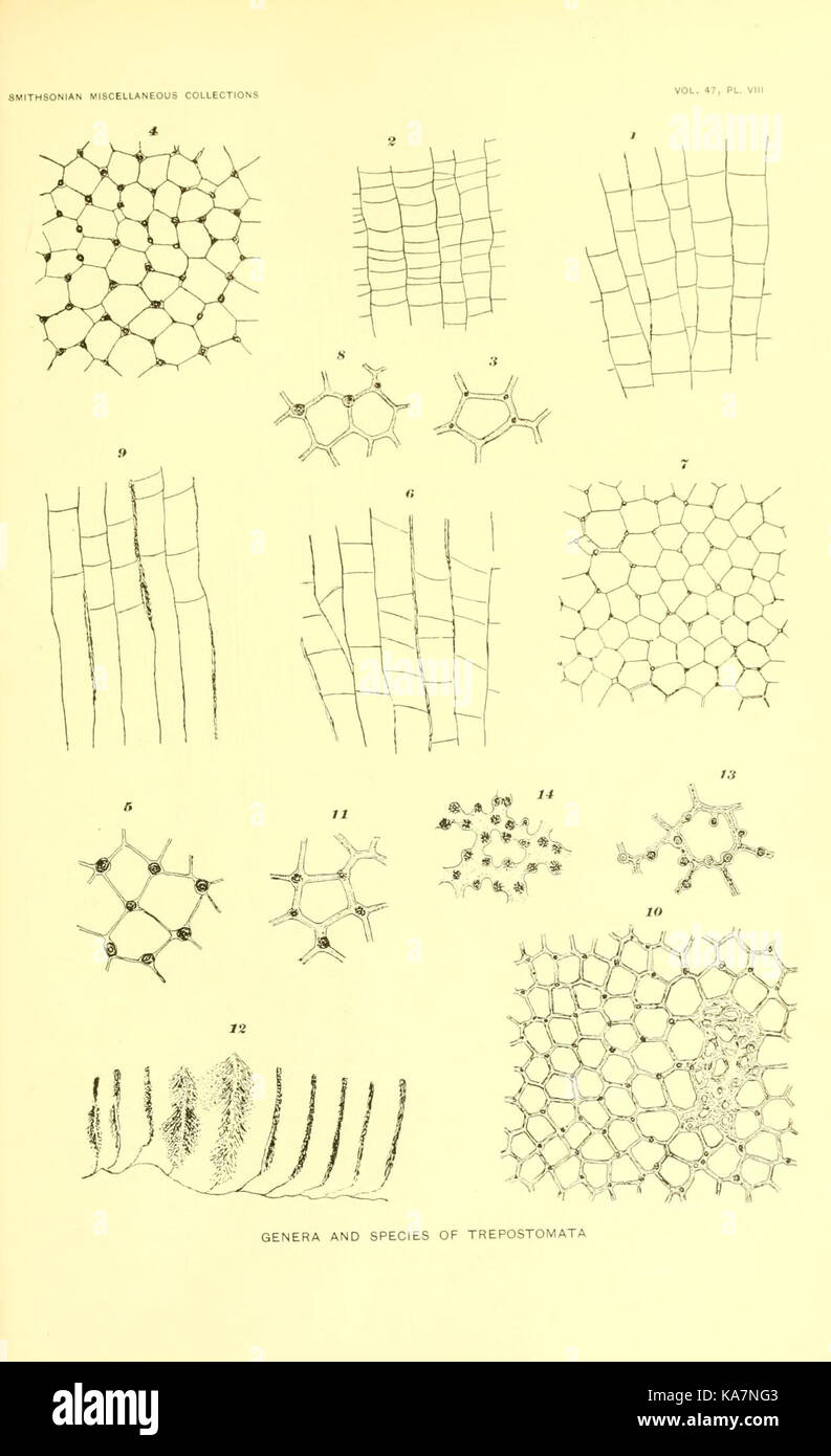 Smithsonian miscellaneous collections (14600596956 Stock Photo - Alamy