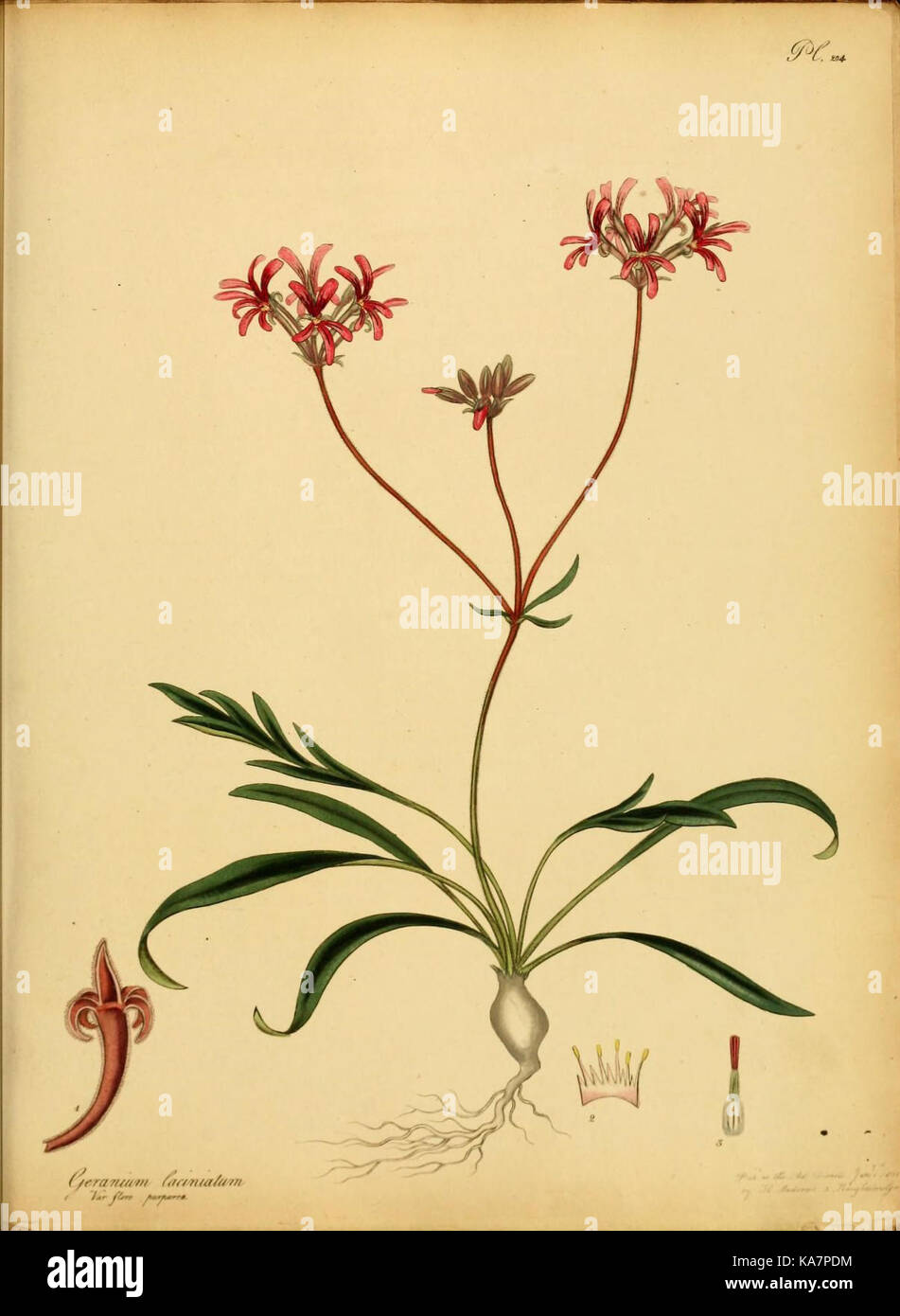 This image depicts a botanical repository, showcasing new and rare ...
