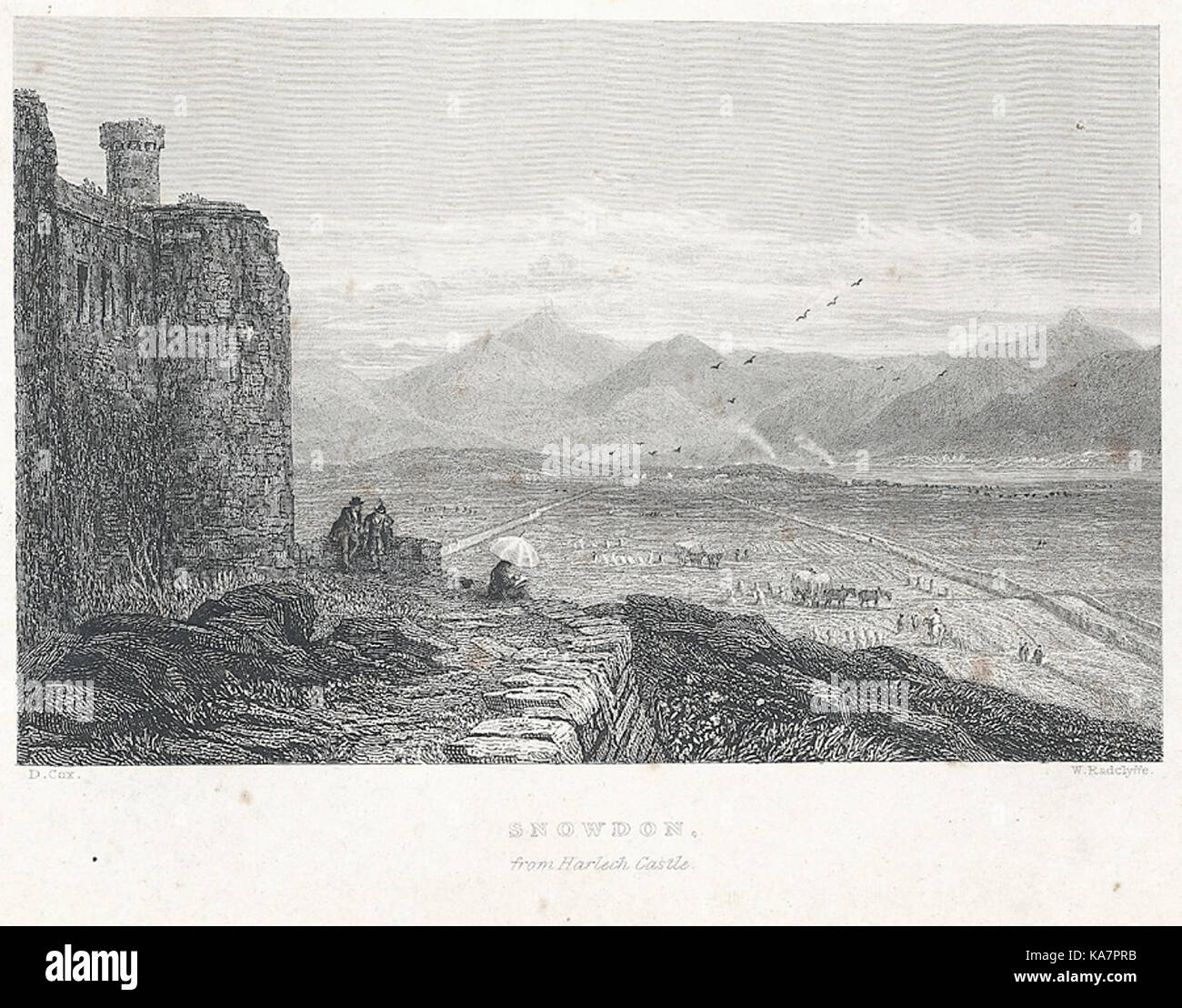 View snowdon mountain from harlech hi-res stock photography and images ...