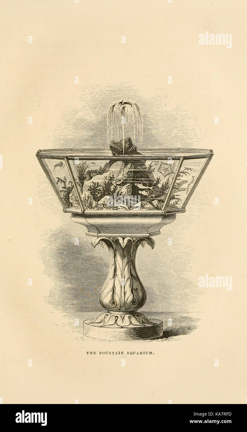 This image showcases an aquarium exhibit, highlighting marine life and ...