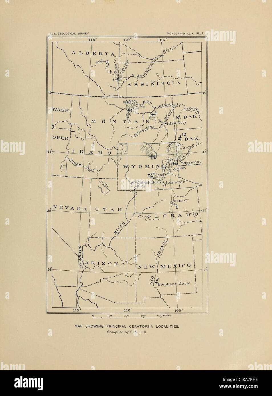 Ceratopsia hi-res stock photography and images - Alamy
