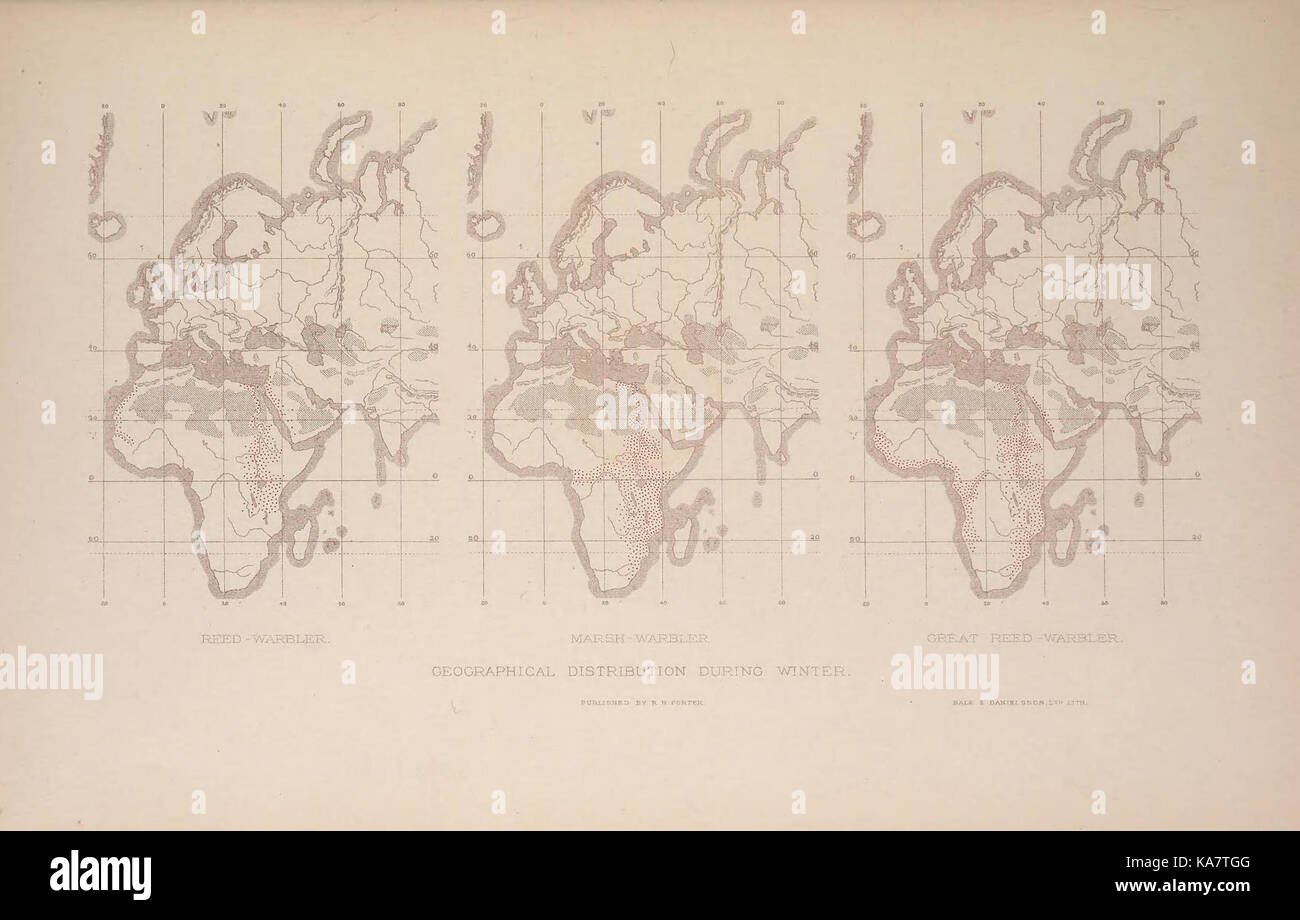 The British warblers (9578081142 Stock Photo - Alamy