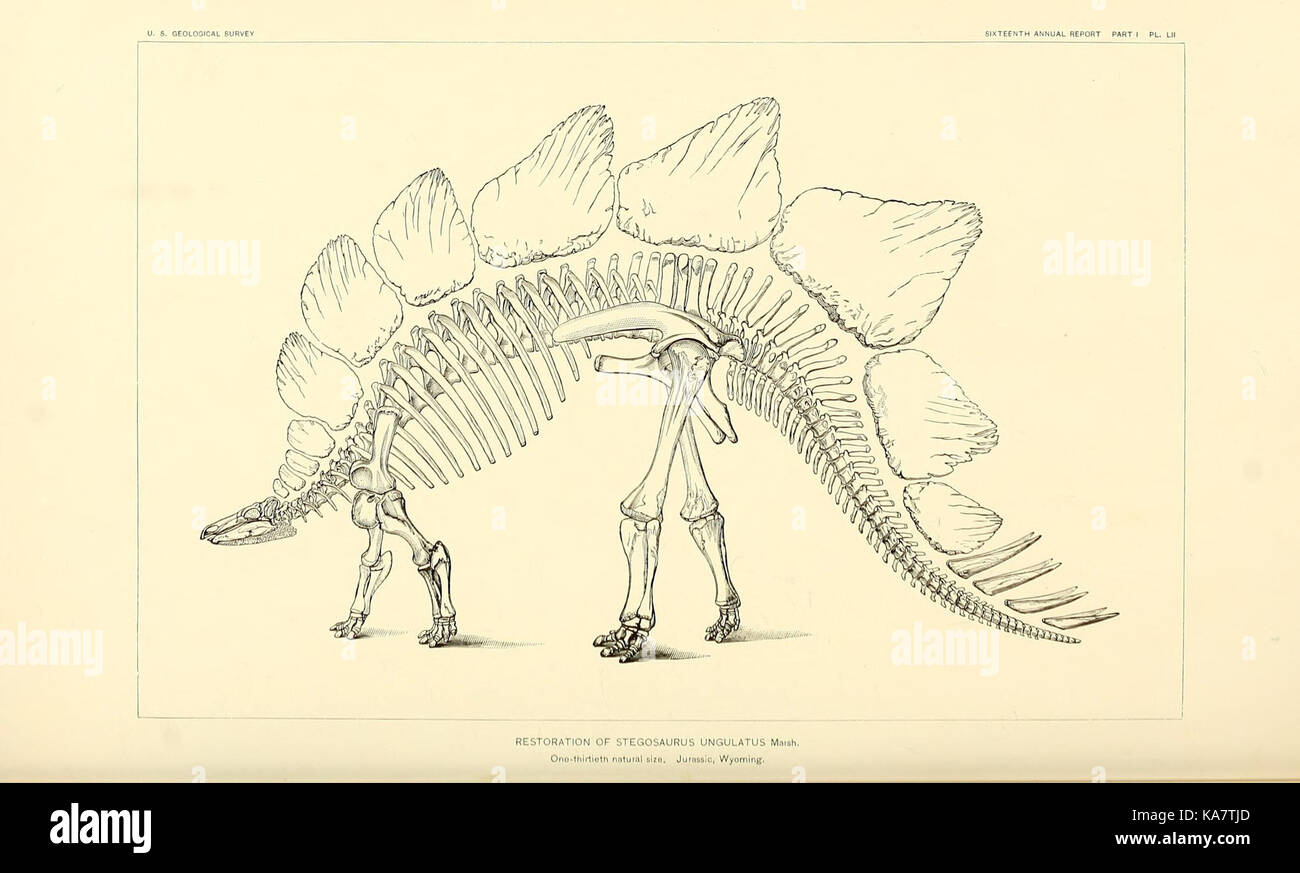 This image is from 'The Dinosaurs of North America' and features ...