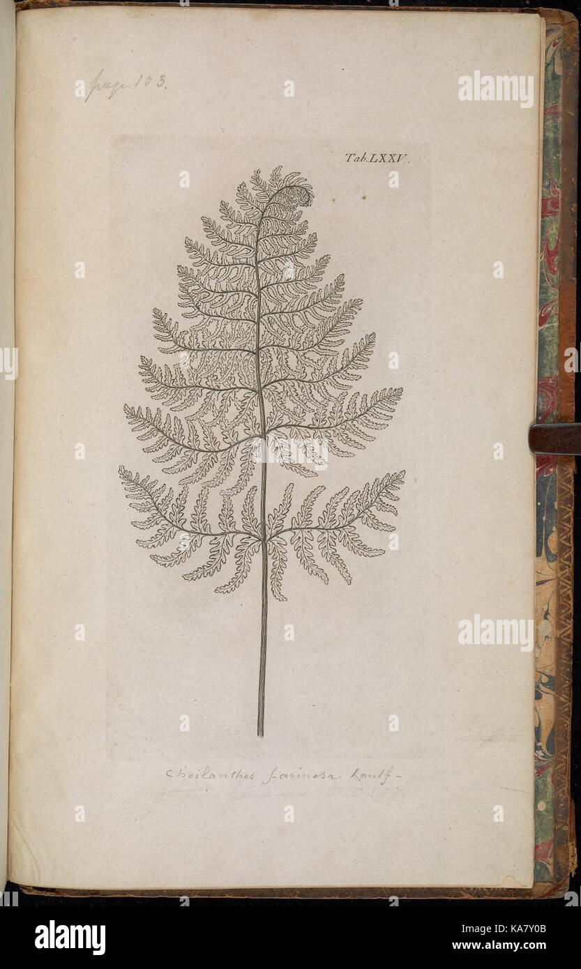 Work illustrates hi-res stock photography and images - Alamy