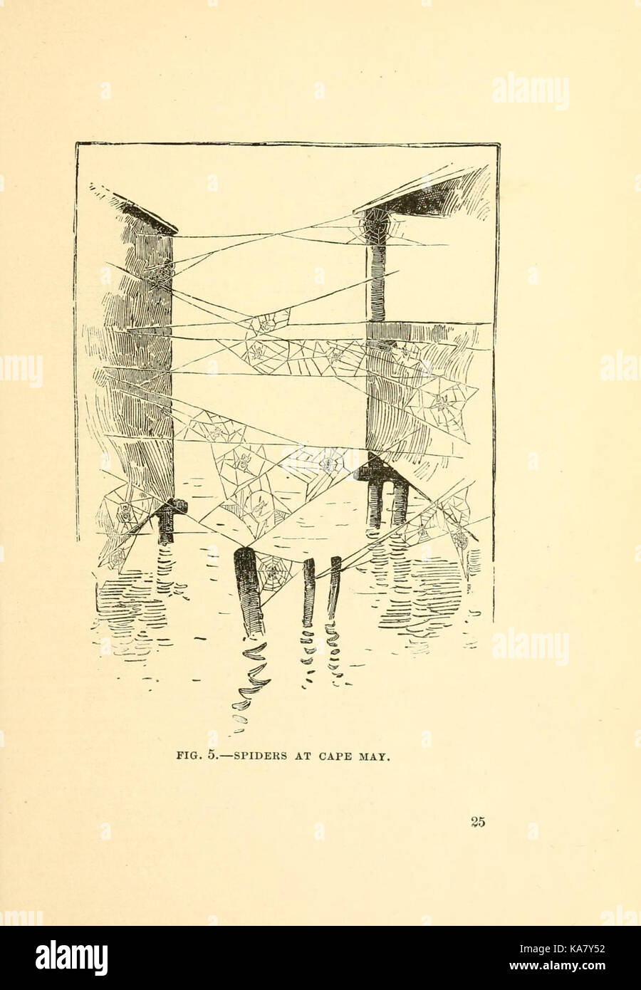 This photograph shows tenants of an old farm, capturing rural life from ...