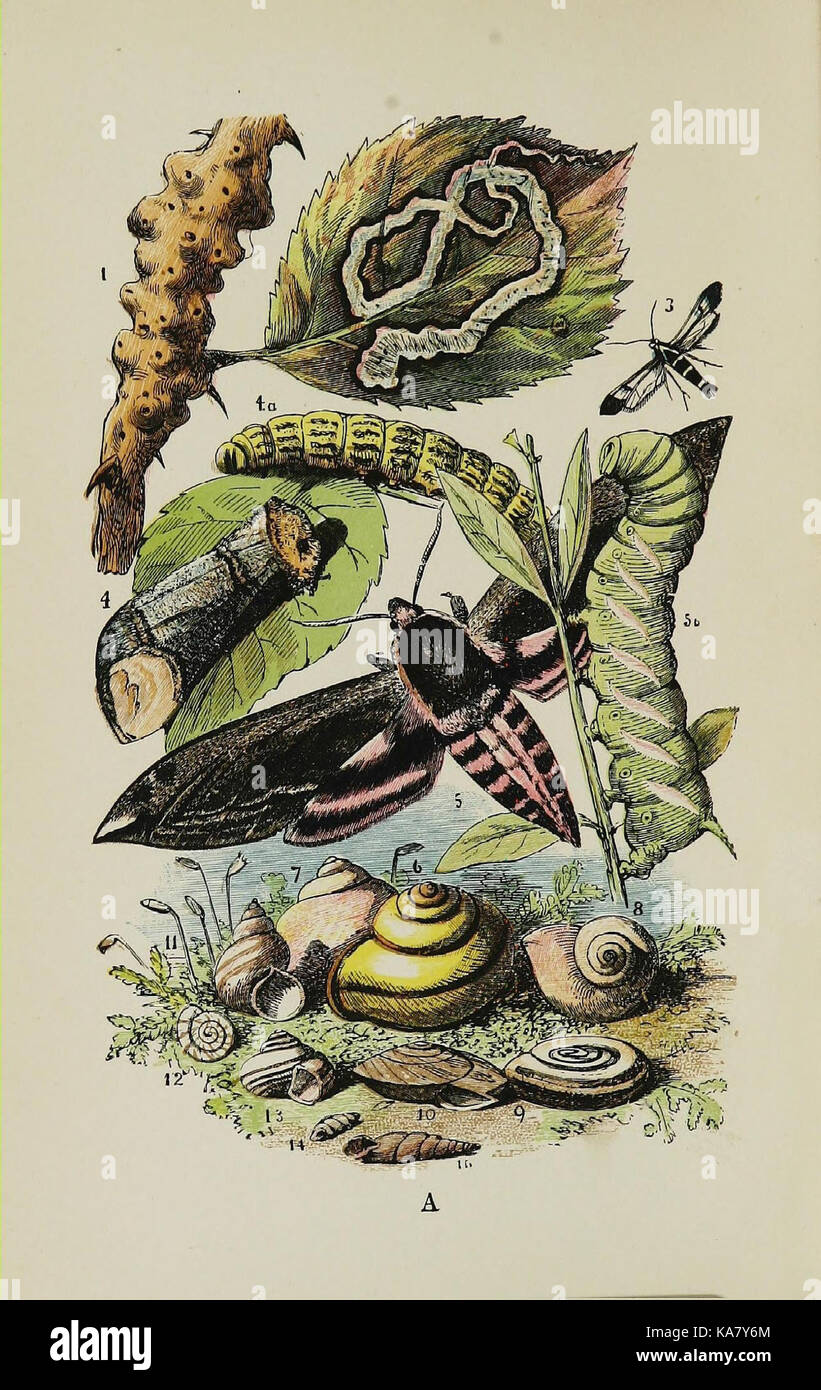 Everyday rural equipment hi-res stock photography and images - Alamy