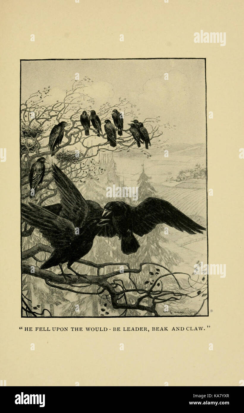 Tenants of the trees (Plate 6) (6921357392 Stock Photo - Alamy